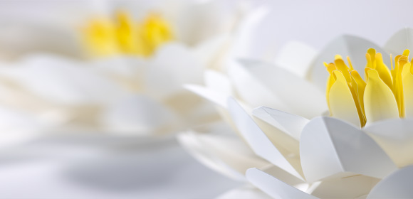 Sulfaatkarton: Invercote G, Creato en Duo | Antalis NL