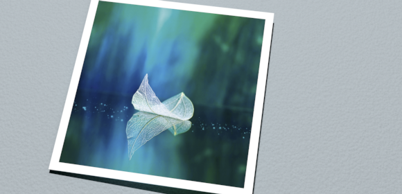 Cocoon, extra wit recycled papier | Antalis NL